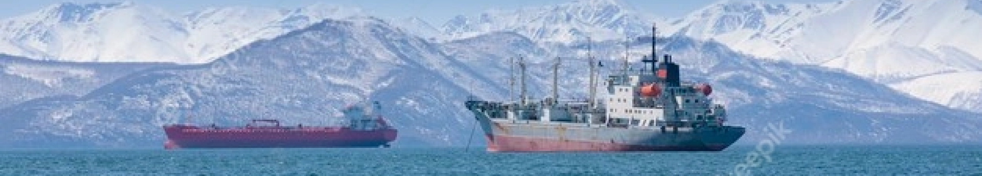 About the company - Lotos Fish